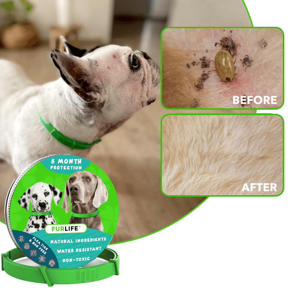 Furlife Flea Collar Reviews